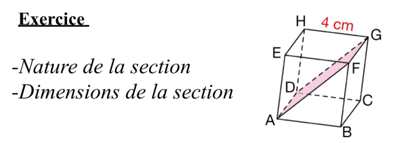 Exercice corrigé : la section d’un cube par un plan parallèle à une ...